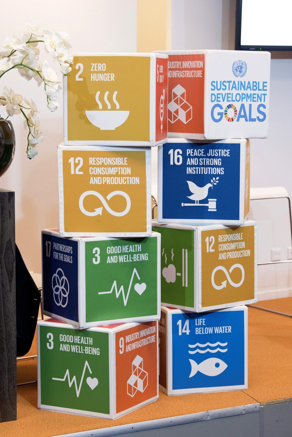 Over CoE BWNO - CoE BWNO