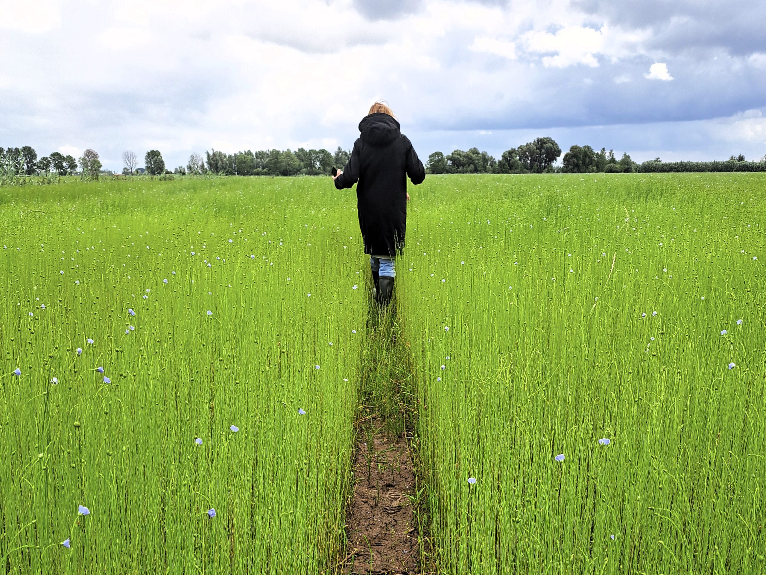 BWNO jaarevent 21 mei 2025, Avans Breda - CoE BWNO