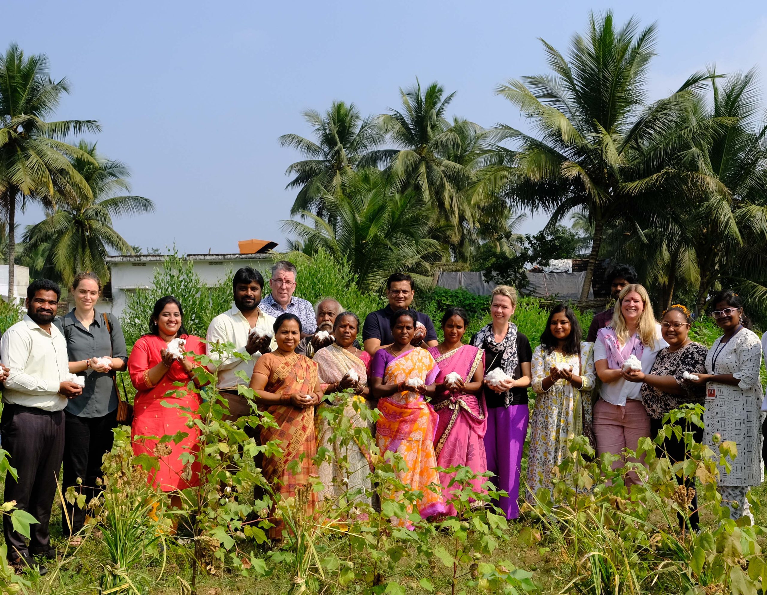 Cotton in Common - CoE BWNO