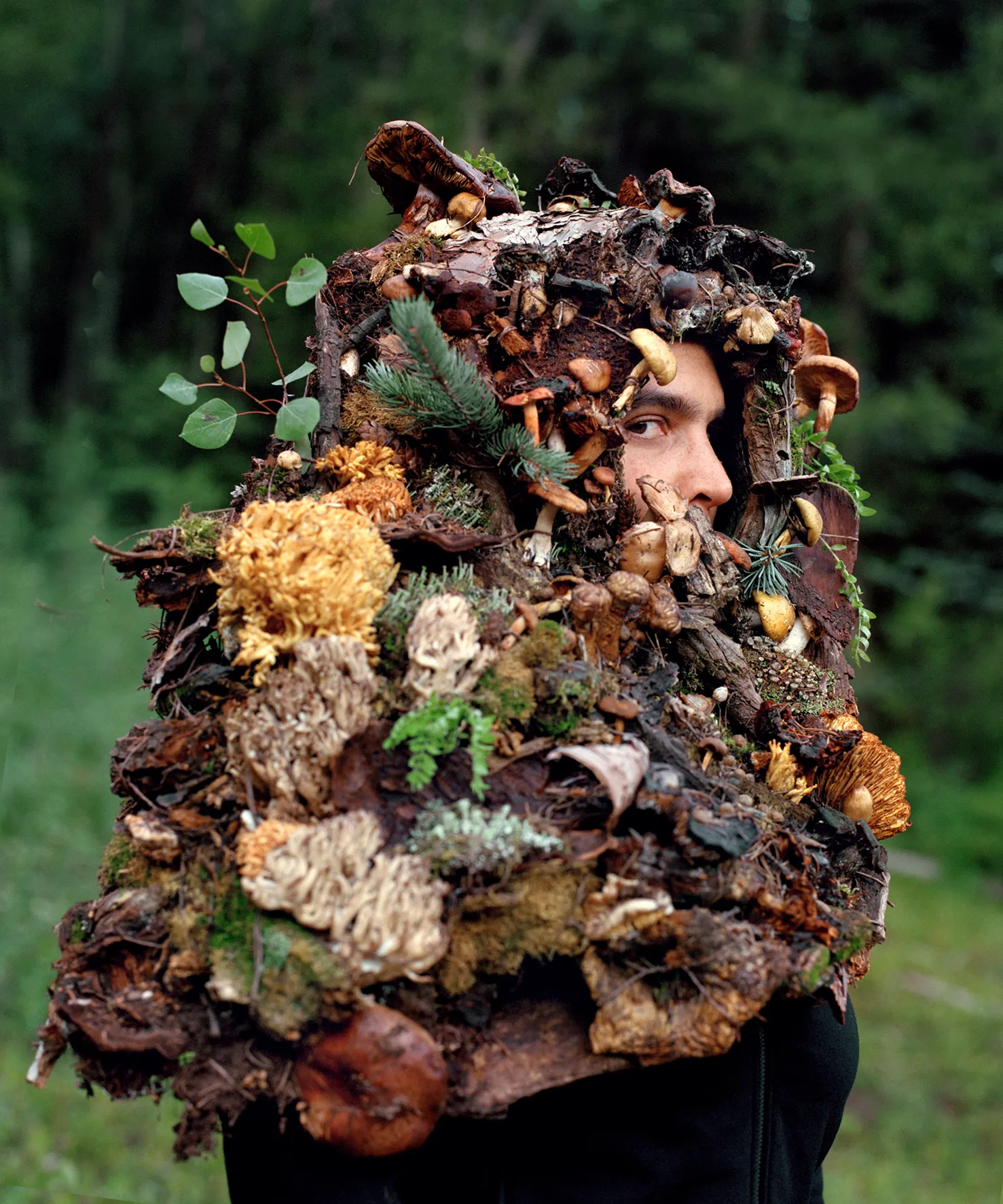 Nature Onboarding Humans - CoE BWNO
